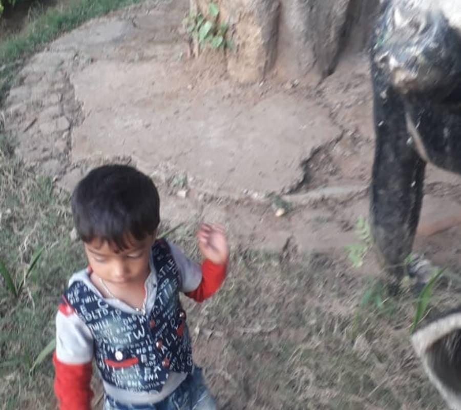 Excel Foundation Smart School - EFS